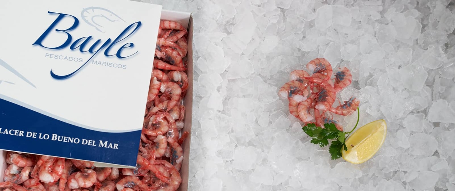 Gambossí Congelado de Santa Pola - Pescados y Mariscos Bayle